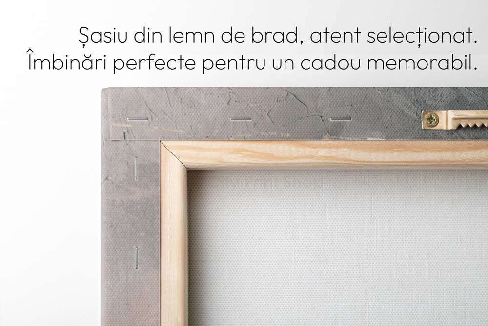 Tablou Canvas Personalizat 60x100 cm - Personalizat cu pozele tale!